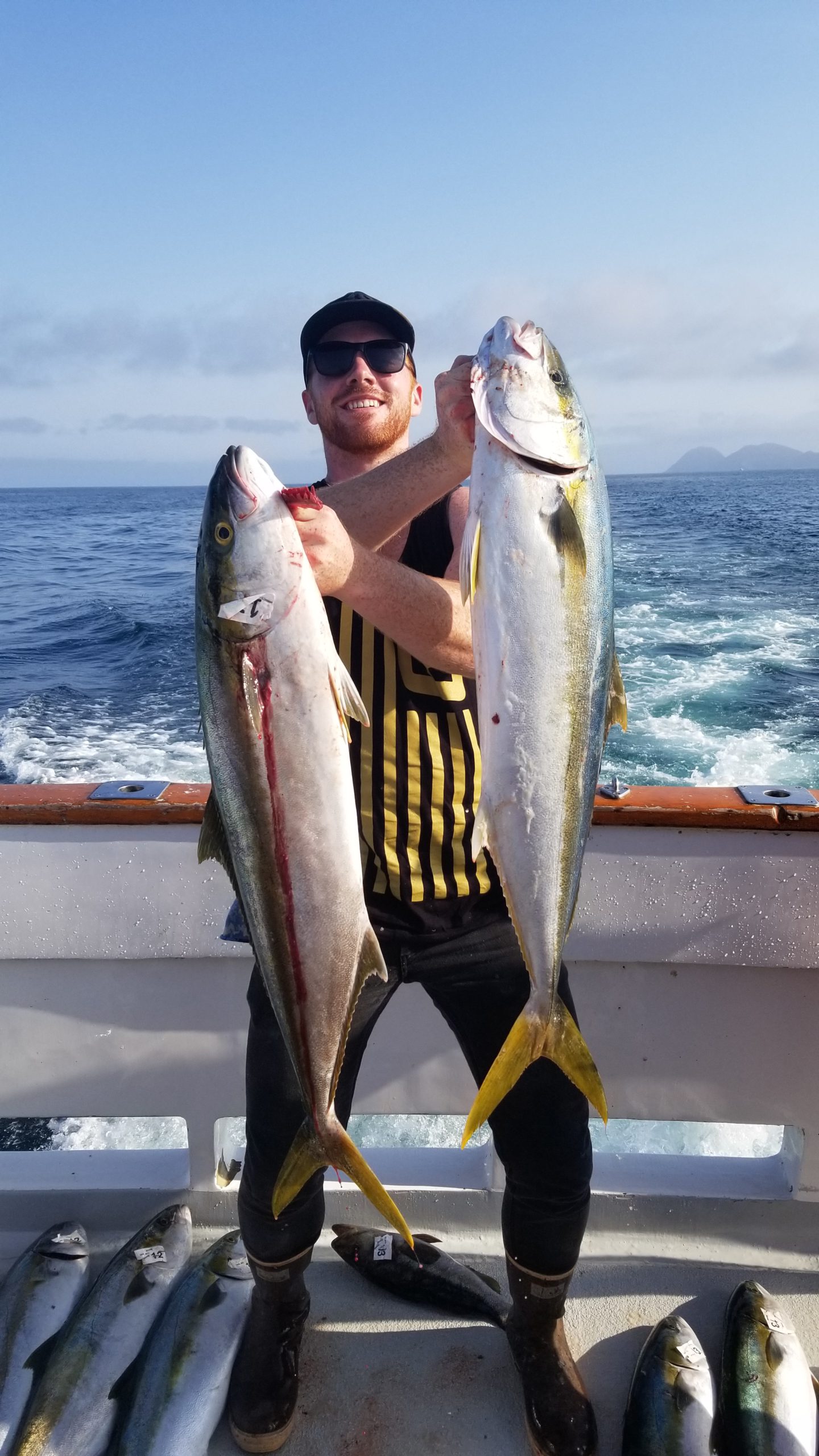 WON on the Spot: Outstanding Coronado Islands yellowtail fishing erupts ...