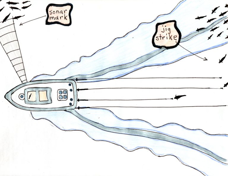 A deeper look at trolling plugs | Western Outdoor News