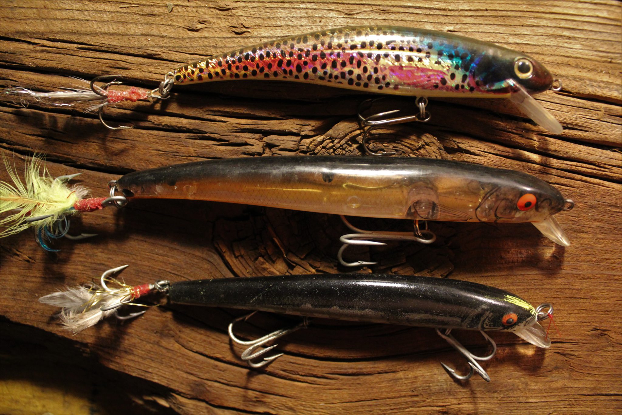 A deeper look at trolling plugs | Western Outdoor News