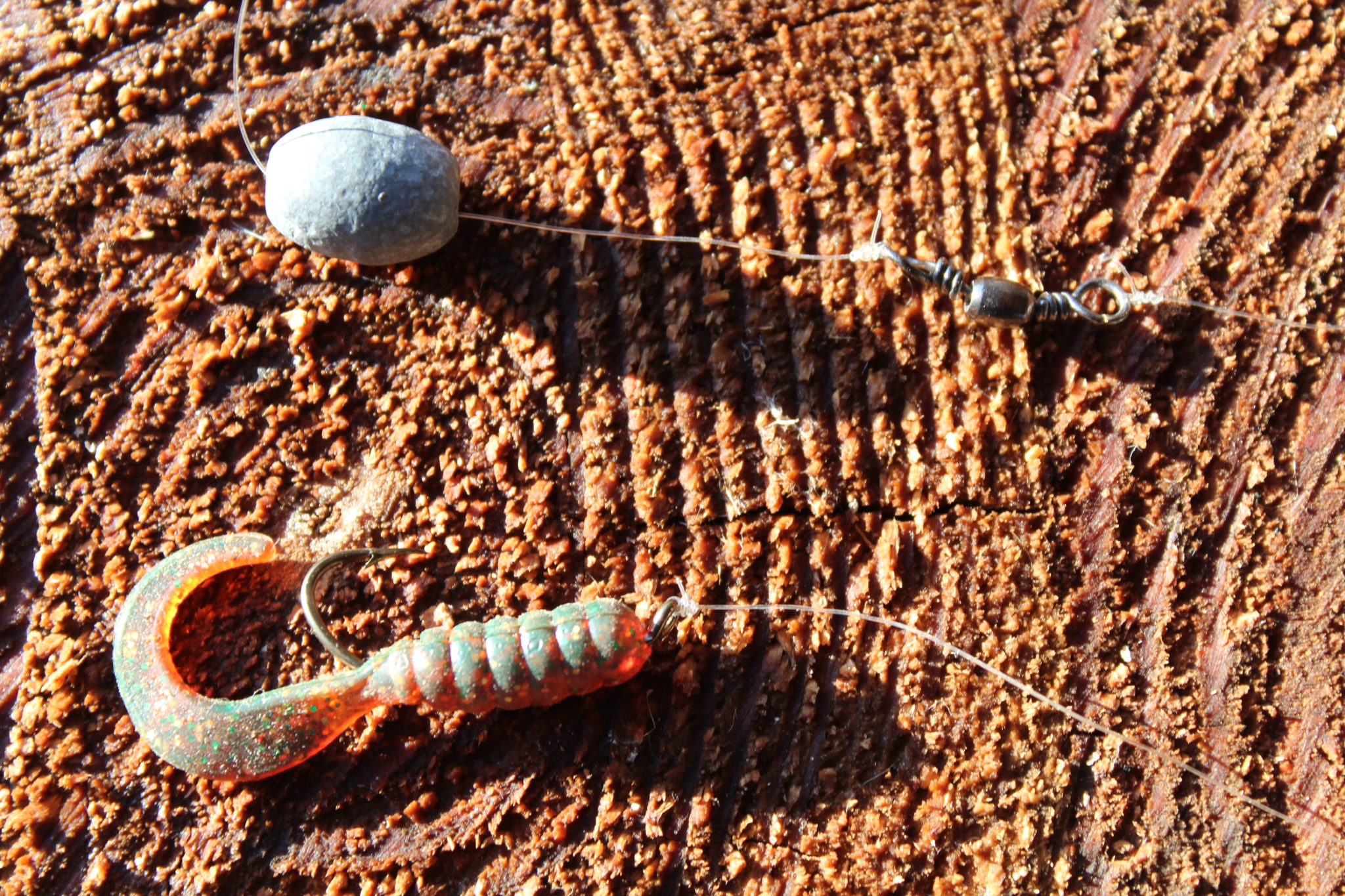 Grubbing for barred surfperch | Western Outdoor News