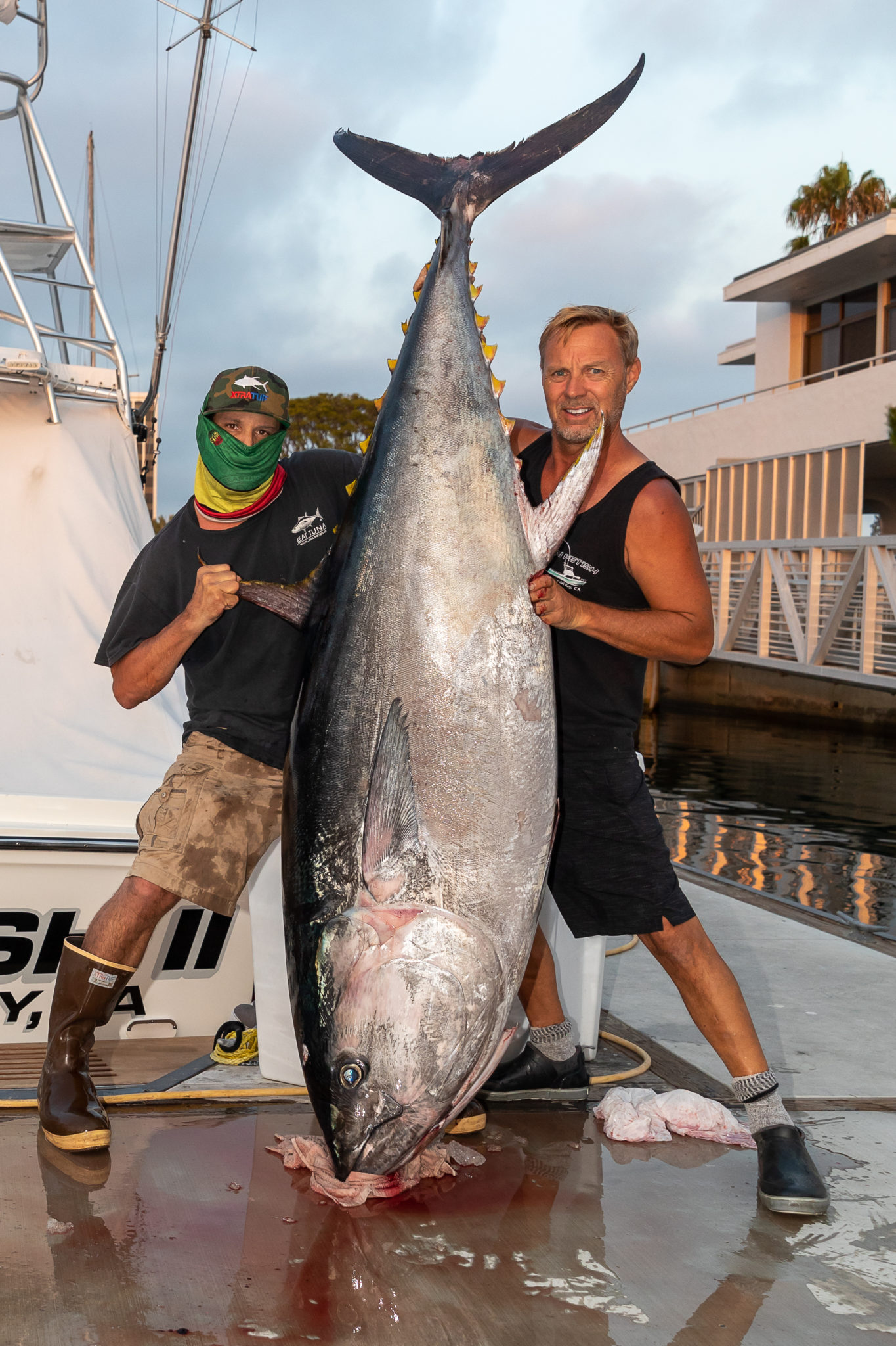 Marina Del Rey bluefin record shattered | Western Outdoor News