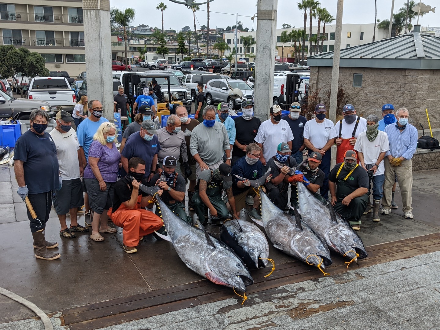 Long range report: More monster bluefin tuna | Western Outdoor News