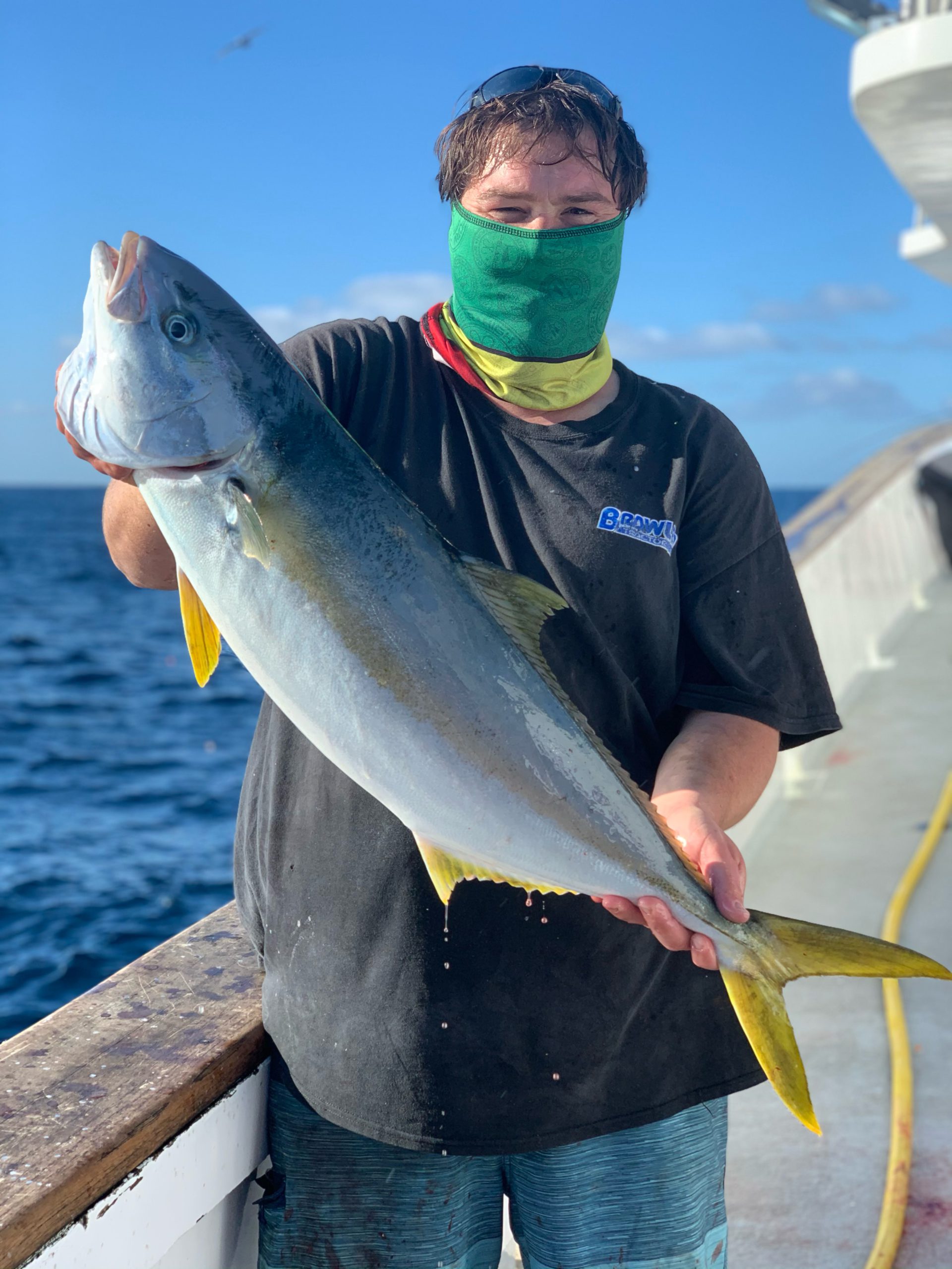 San Diego Report: Yellowfin and bluefin still on the menu | Western ...