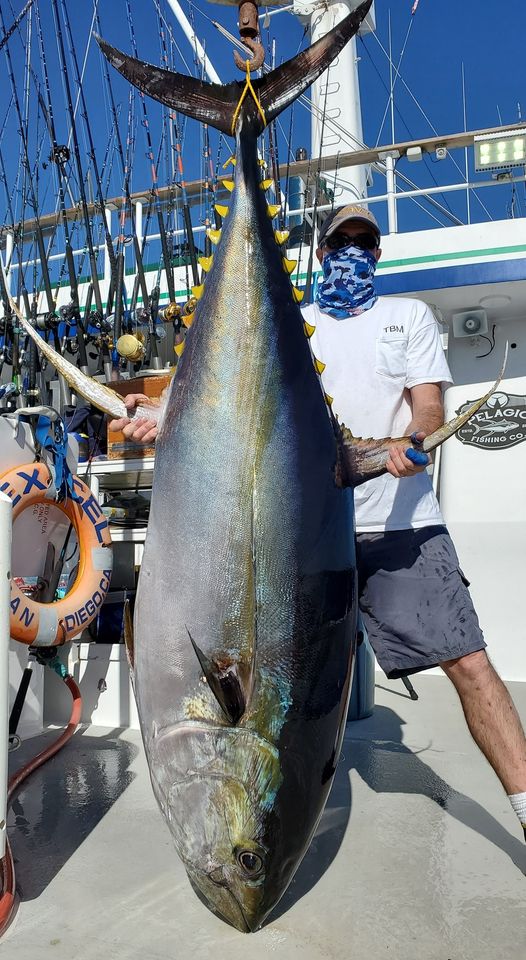 Long Range Report: Cow tuna crash lower banks | Western Outdoor News