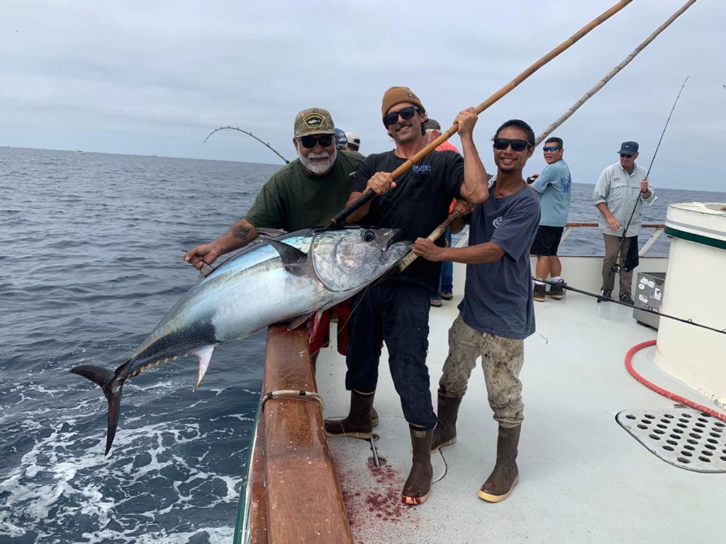 Long Range Report: wahoo enter the fray | Western Outdoor News