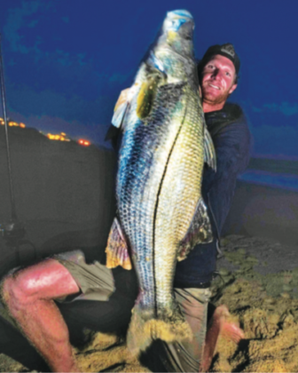 Pending all-tackle record snook a surprise for surfcaster | Western ...