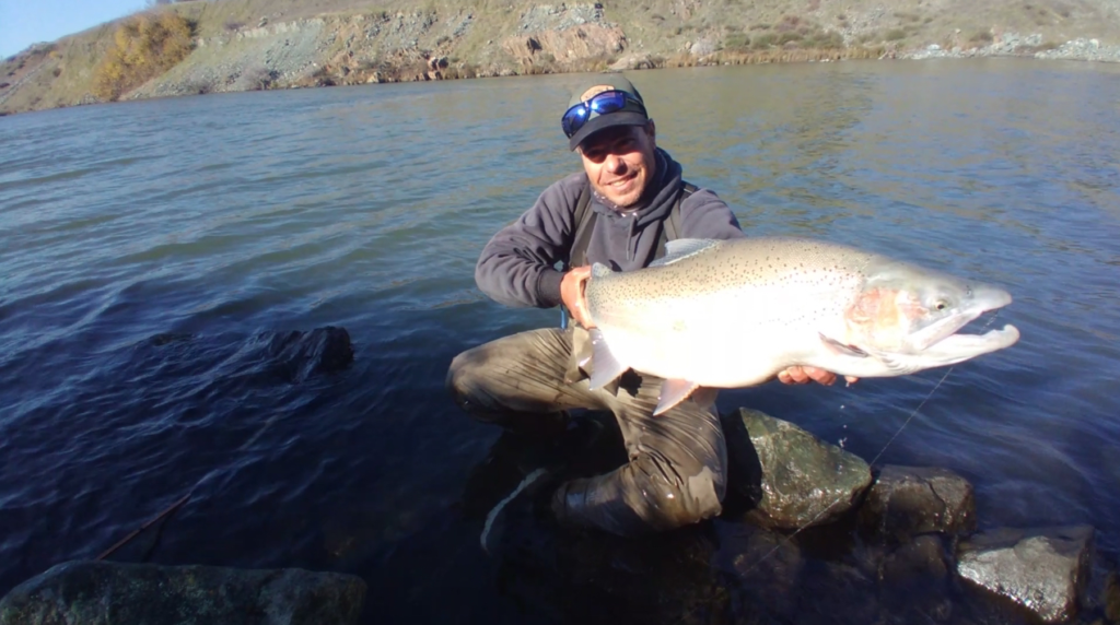 Massive rainbow trout nabbed in Thermalito Diversion Pool | Western Outdoor News