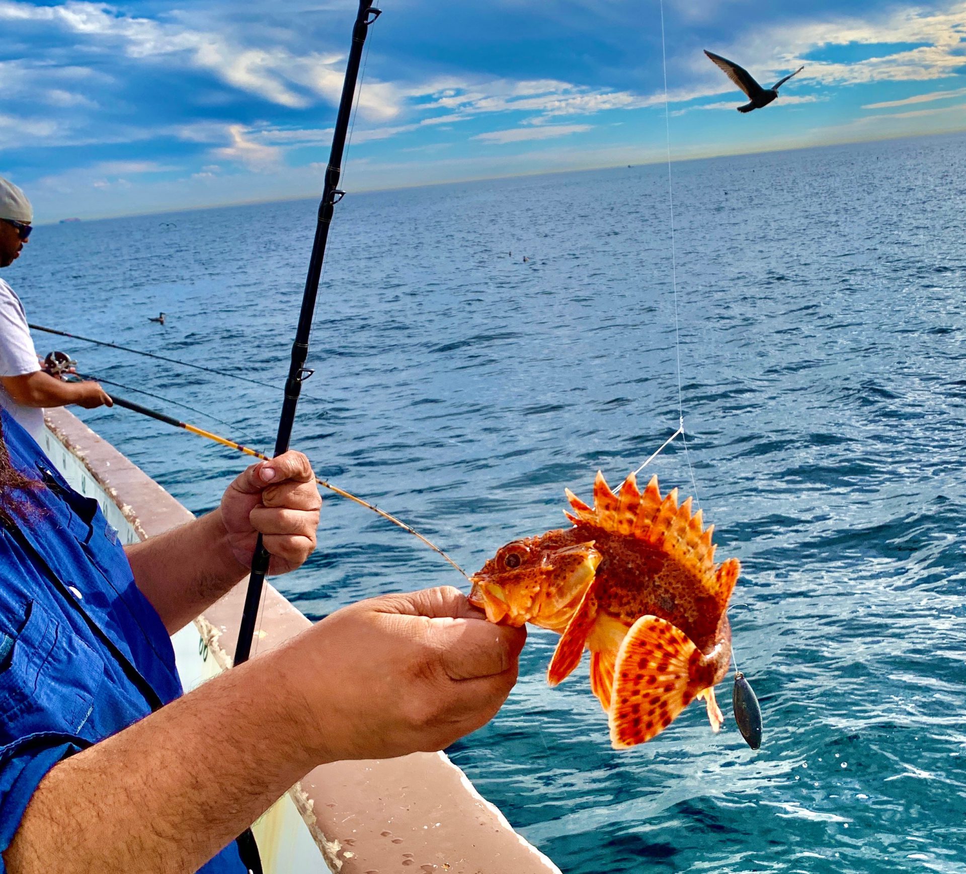 Five things you need know about catching sculpin | Western Outdoor News