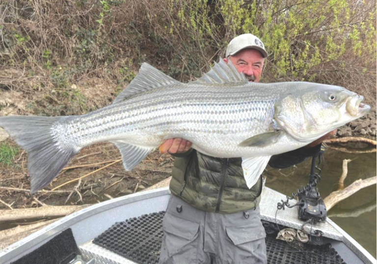 Monster Sac River stripers take father-and-son team for a ride ...
