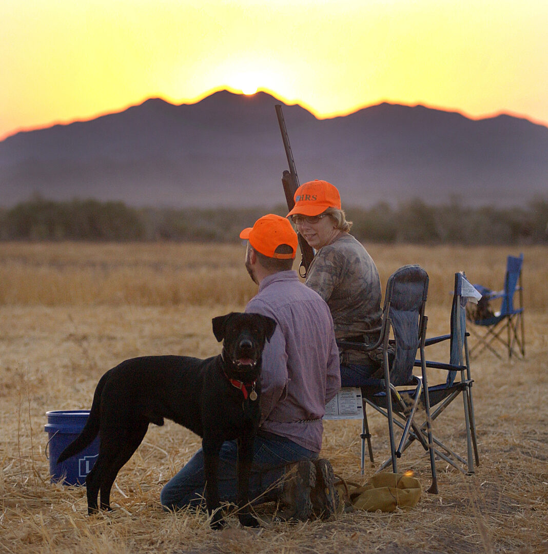Top five public dove hunting areas in Southern California | Western ...