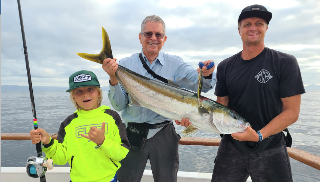 Sportfishing – Tackle, tactics, tips & baits for successful Yellowtail ...