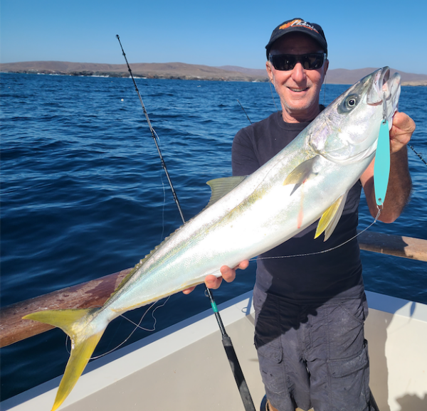 Sportfishing – Tackle, tactics, tips & baits for successful Yellowtail ...