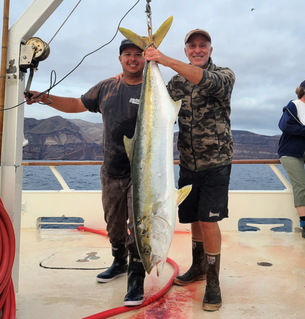Sportfishing – Tackle, tactics, tips & baits for successful Yellowtail ...