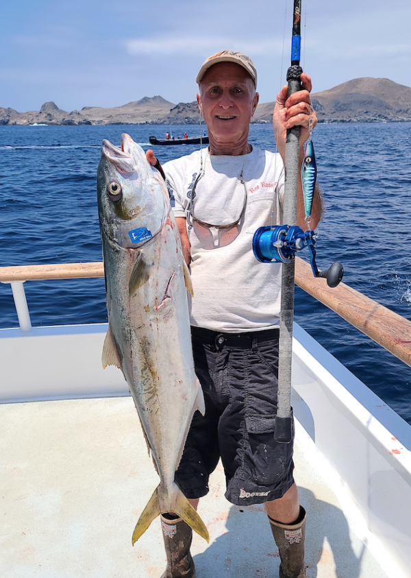 Sportfishing – Tackle, tactics, tips & baits for successful Yellowtail ...