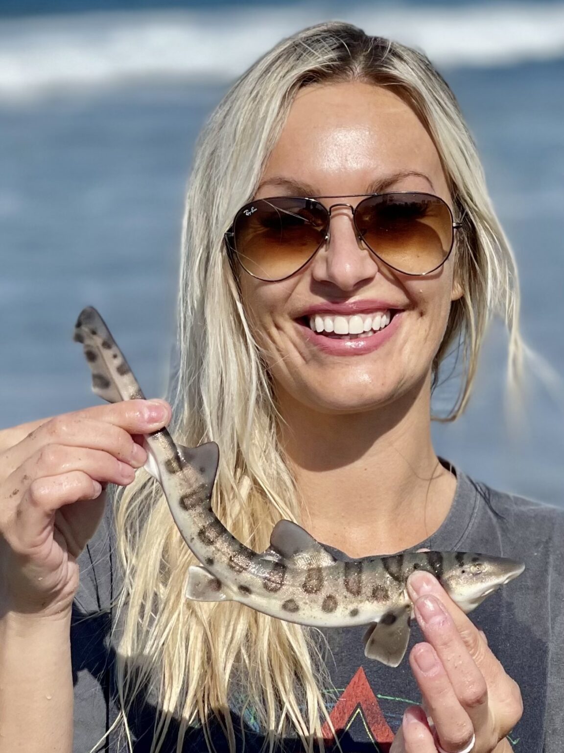 Shark fishing – Tackle, baits and tactics for targeting big leopard ... Shark fishing – Tackle, baits and tactics for targeting big leopard ...