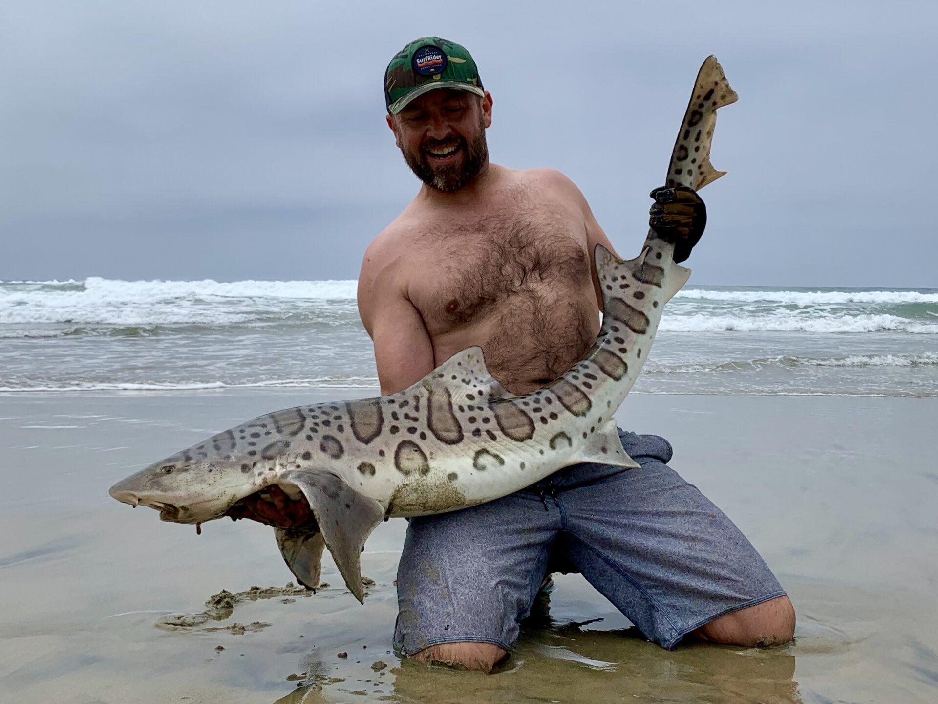 Shark fishing – Tackle, baits and tactics for targeting big leopard ...