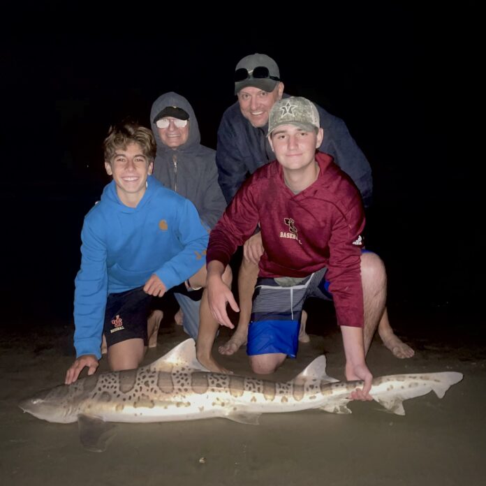 Shark fishing – Tackle, baits and tactics for targeting big leopard ...
