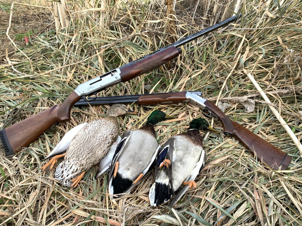 Hunting – Getting ready for waterfowl season (tips, maps and tactics ...