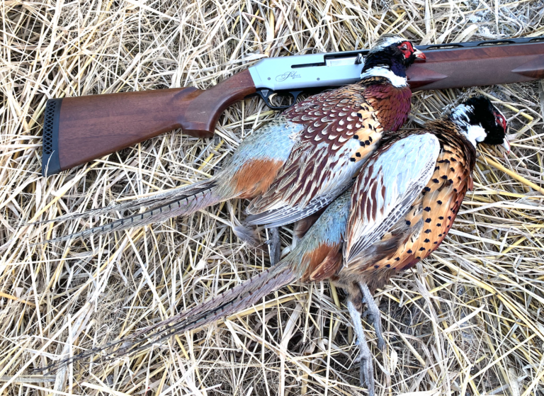Hunting – 5 upland birds to target in California | Western Outdoor News