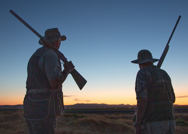 Hunting – Heat and birds greet opening weekend Dove hunters, Imperial ...