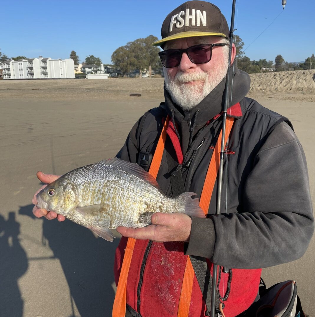 Surf fishing – Santa Cruz surf perch set for solid season (best baits ...
