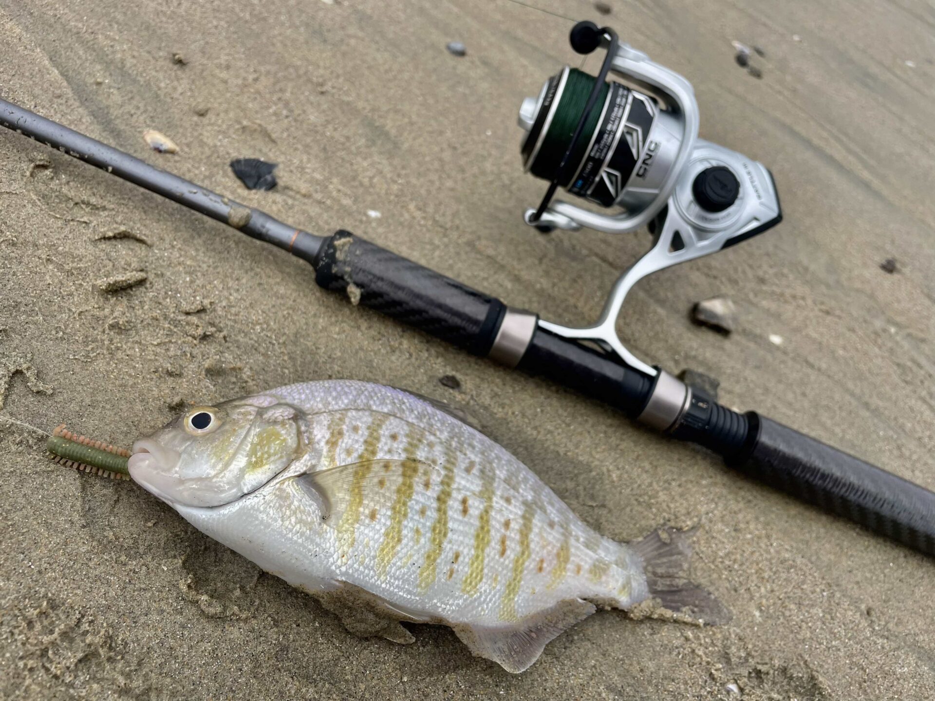 Tackle Box – Tested: Seven of the best Surf Perch rods to cover every ...