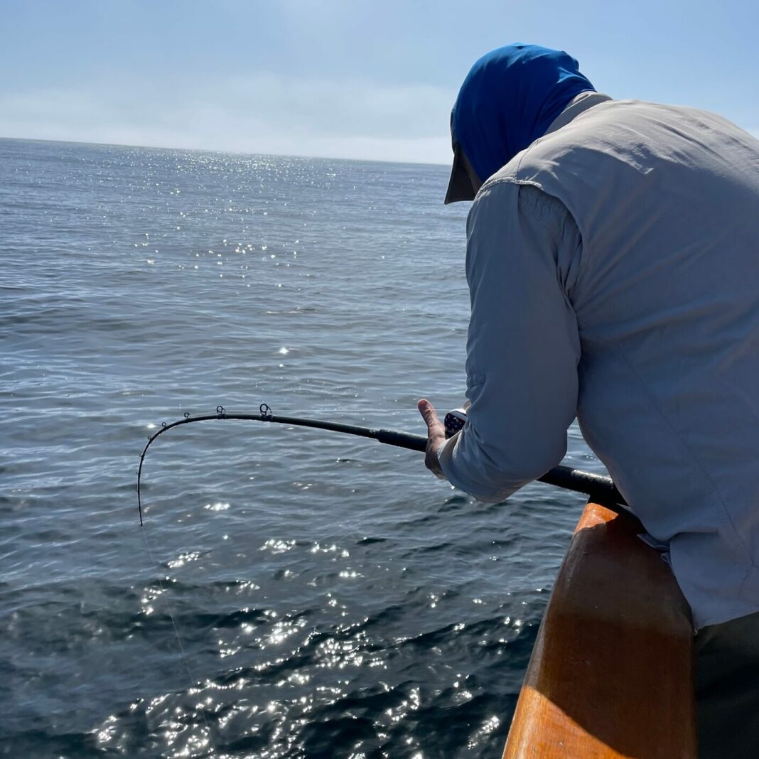 Saltwater – Five tips to catch more (and bigger!) Rockfish and Lingcod ...