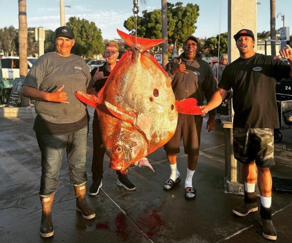 World record opah landed on Horizon! | Western Outdoor News