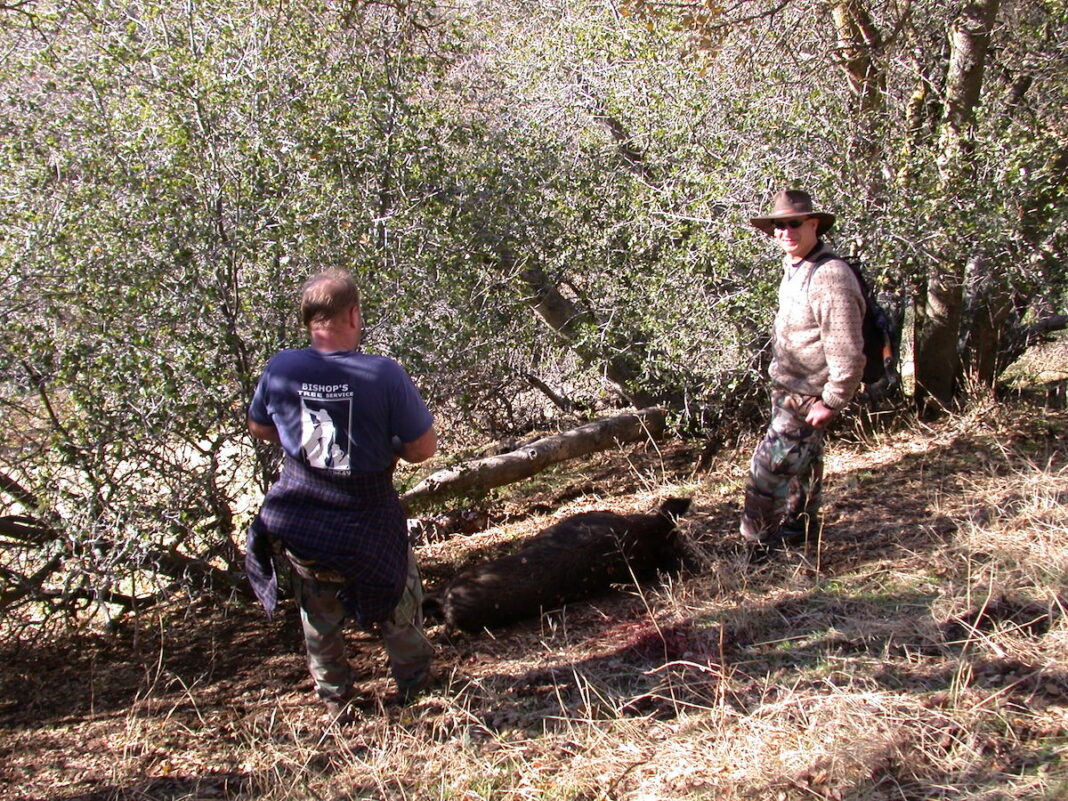 SEEING RED: Tips for blood trailing like a pro | Western Outdoor News