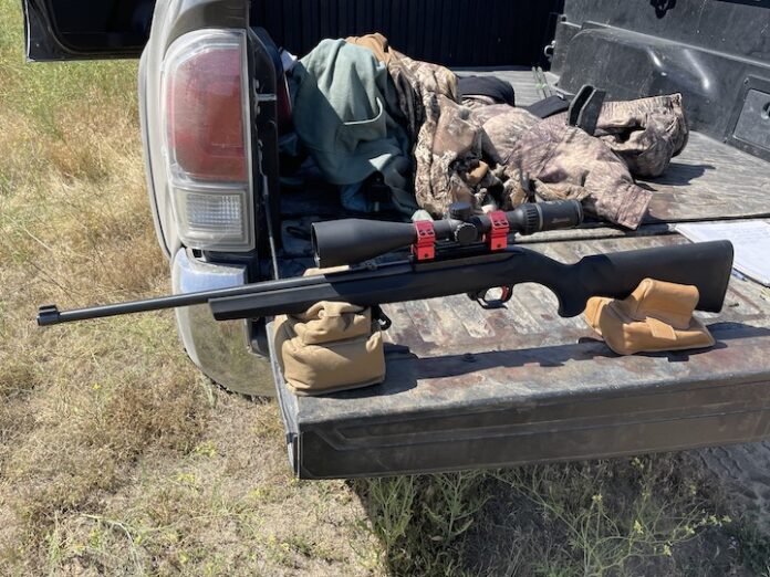 Range Test: comparing .22 ammo at various price points | Western ...