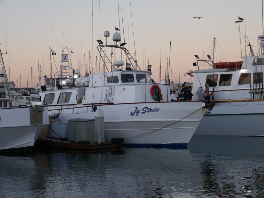 Jig Strike sinks at Cortes Bank | Western Outdoor News