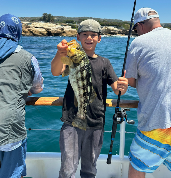 What’s next for marine conservation in California according to the ...