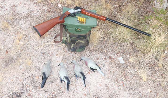 Guns and tactics: making the most of a dove season | Western Outdoor News