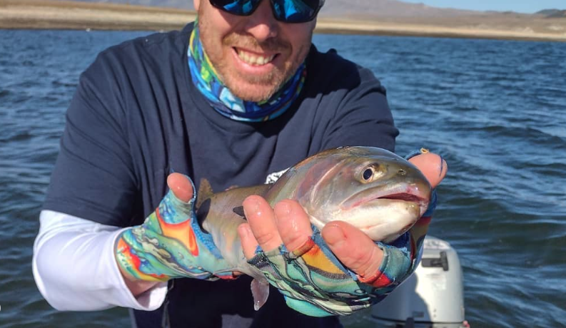 KNEE DEEP: THE LAW OF THE LONG ARM | Western Outdoor News