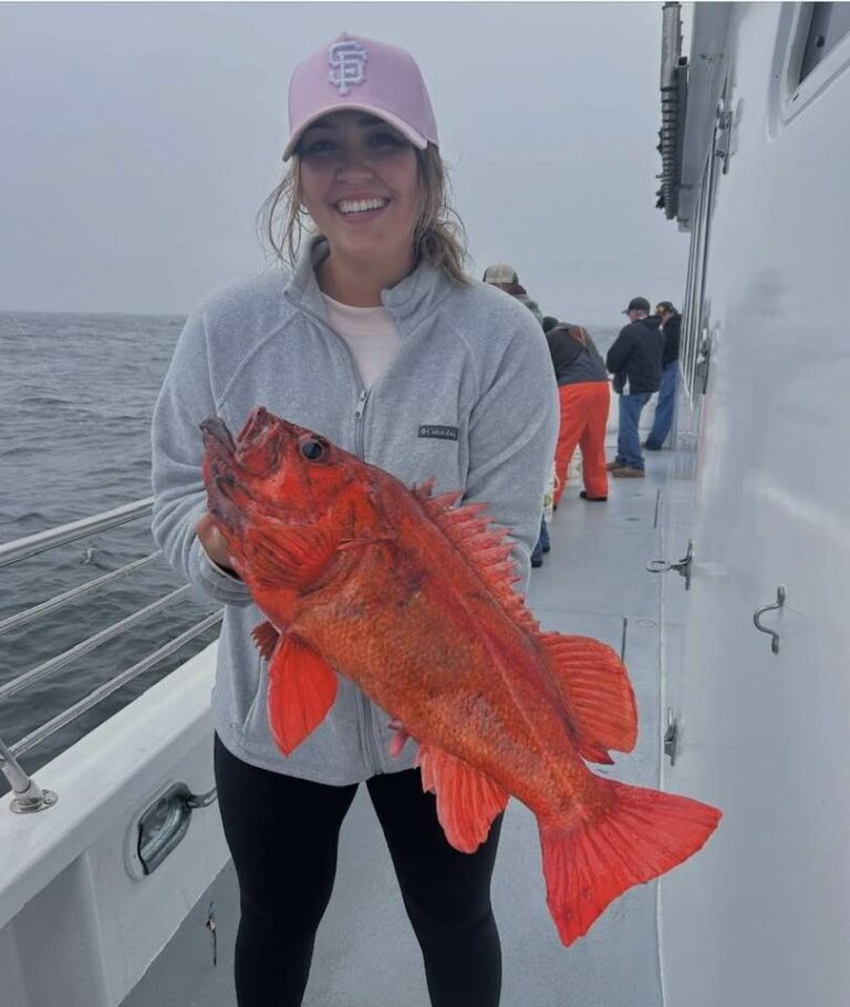 Amended rockfish regulations in state waters open acres of ground for ...