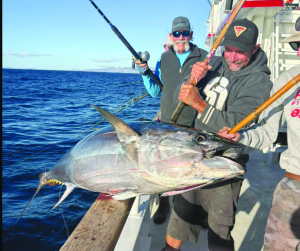 WON READER REPORT: Cow tuna highlight mixed-bag 10-day on Red Rooster ...