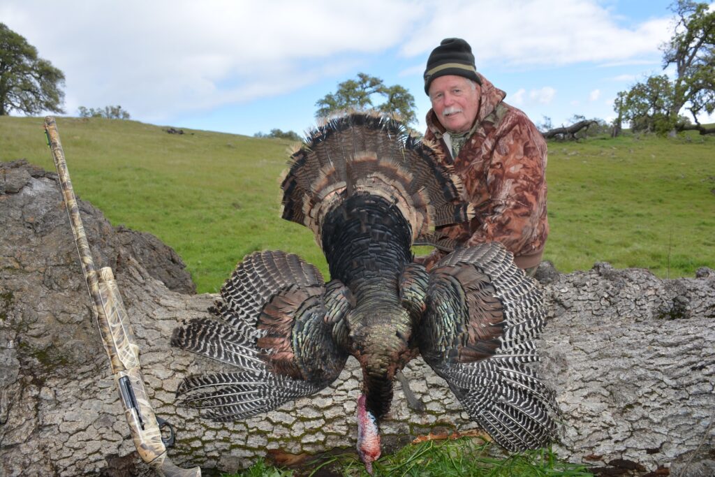 Turkey seasonal outlook looking strong | Western Outdoor News